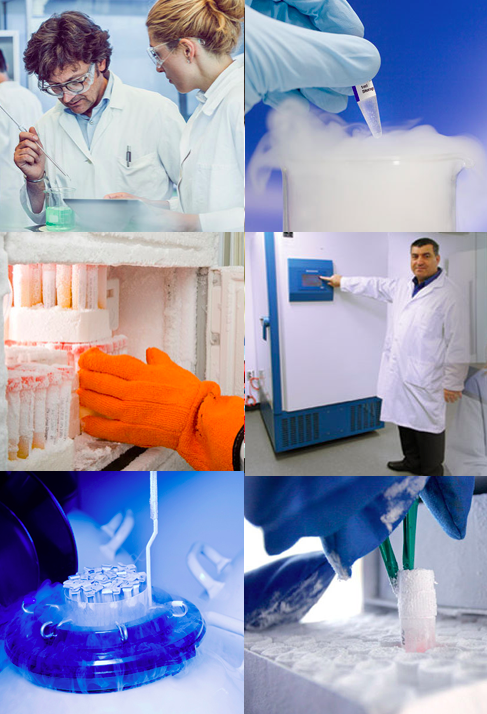 Cold Storage Resource Guide | Lab Manager