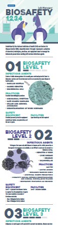 Biosafety Levels Infographic | Lab Manager