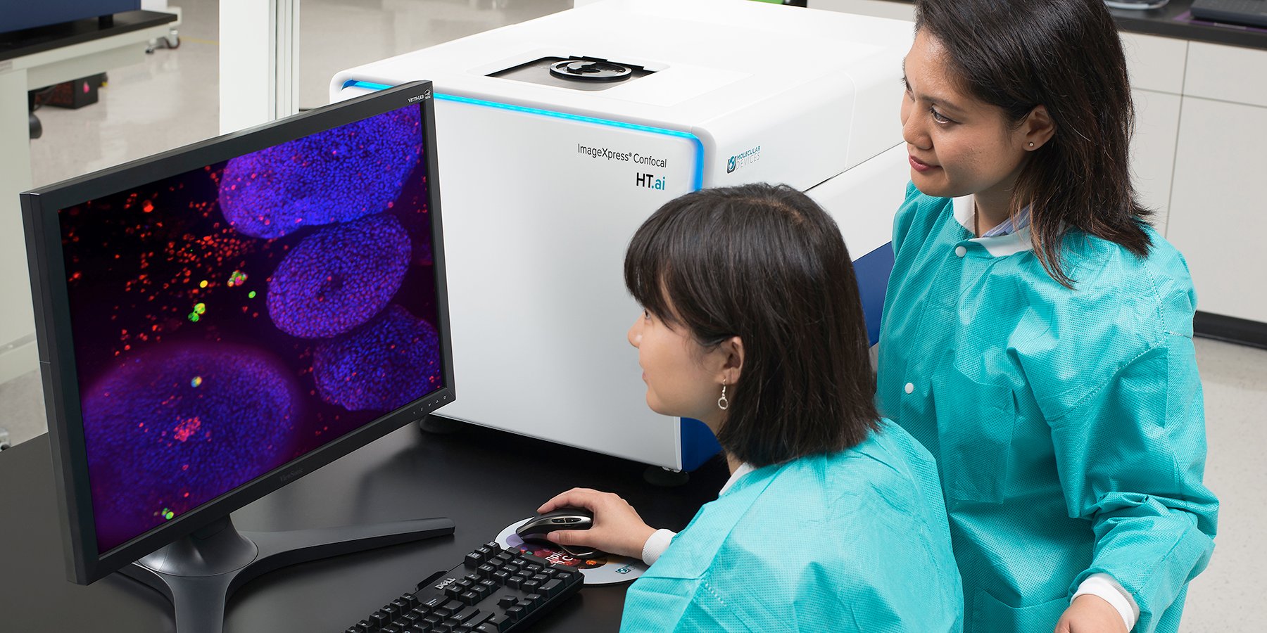 Organoids in Drug Discovery