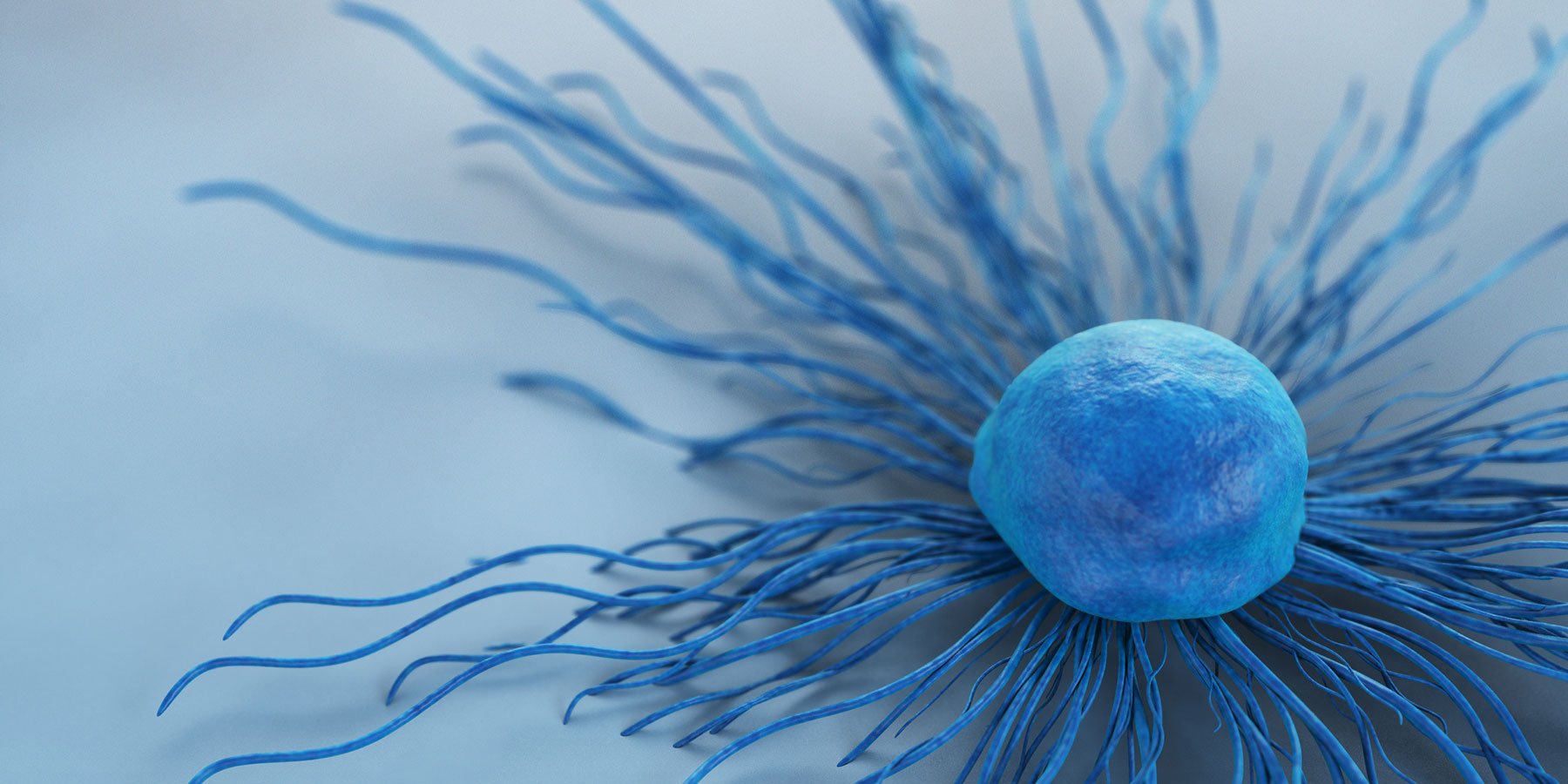 Real-Time Detection and Modulation of Human T Cell Activation