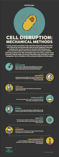 Cell Disruption | Lab Manager