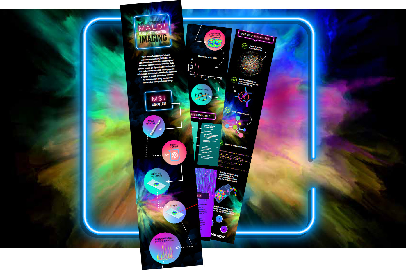 Sample Preparation of MALDI Mass Spectrometry Imaging