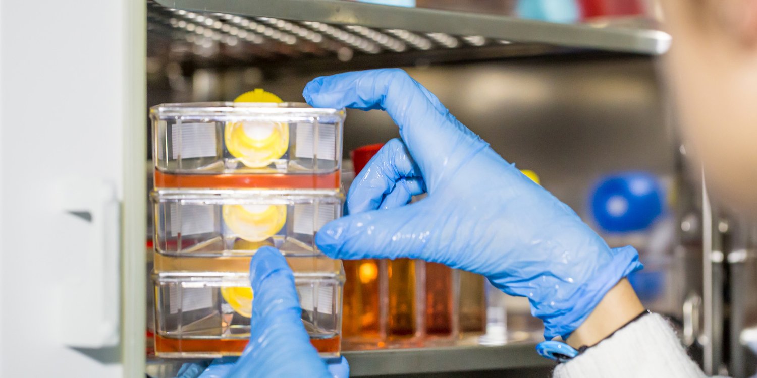 Evaluating Cell Quality with the CM20 Incubation Monitoring System