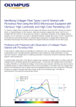 Identifying Collagen Fiber Types I and III High Color Rendering LED ...