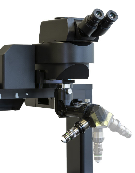 Off-Angle Brain Imaging in Multiphoton Microscopy | Lab Manager
