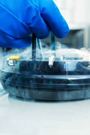 Nitrogen Blowdown Evaporators | Lab Manager