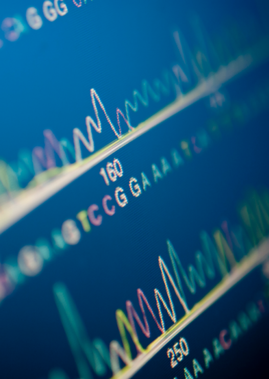 Genome Sequencing Infographic| Lab Manager