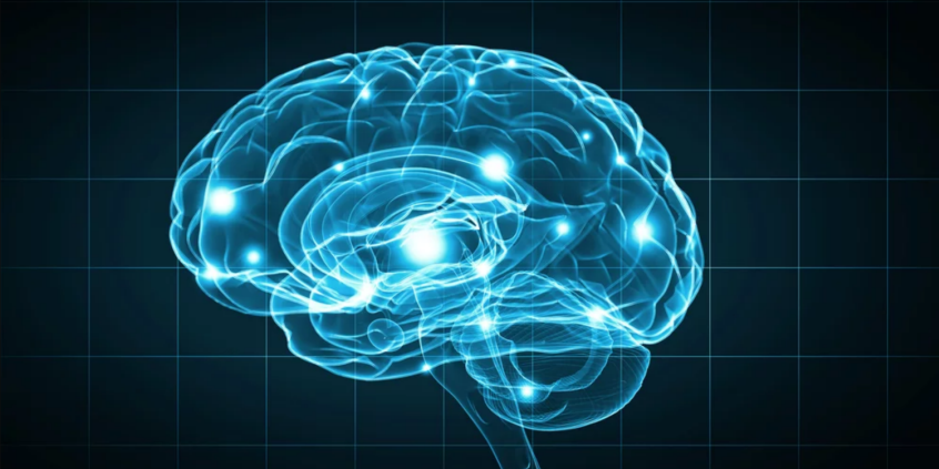 Off-Angle Brain Imaging in Multiphoton Microscopy | Lab Manager