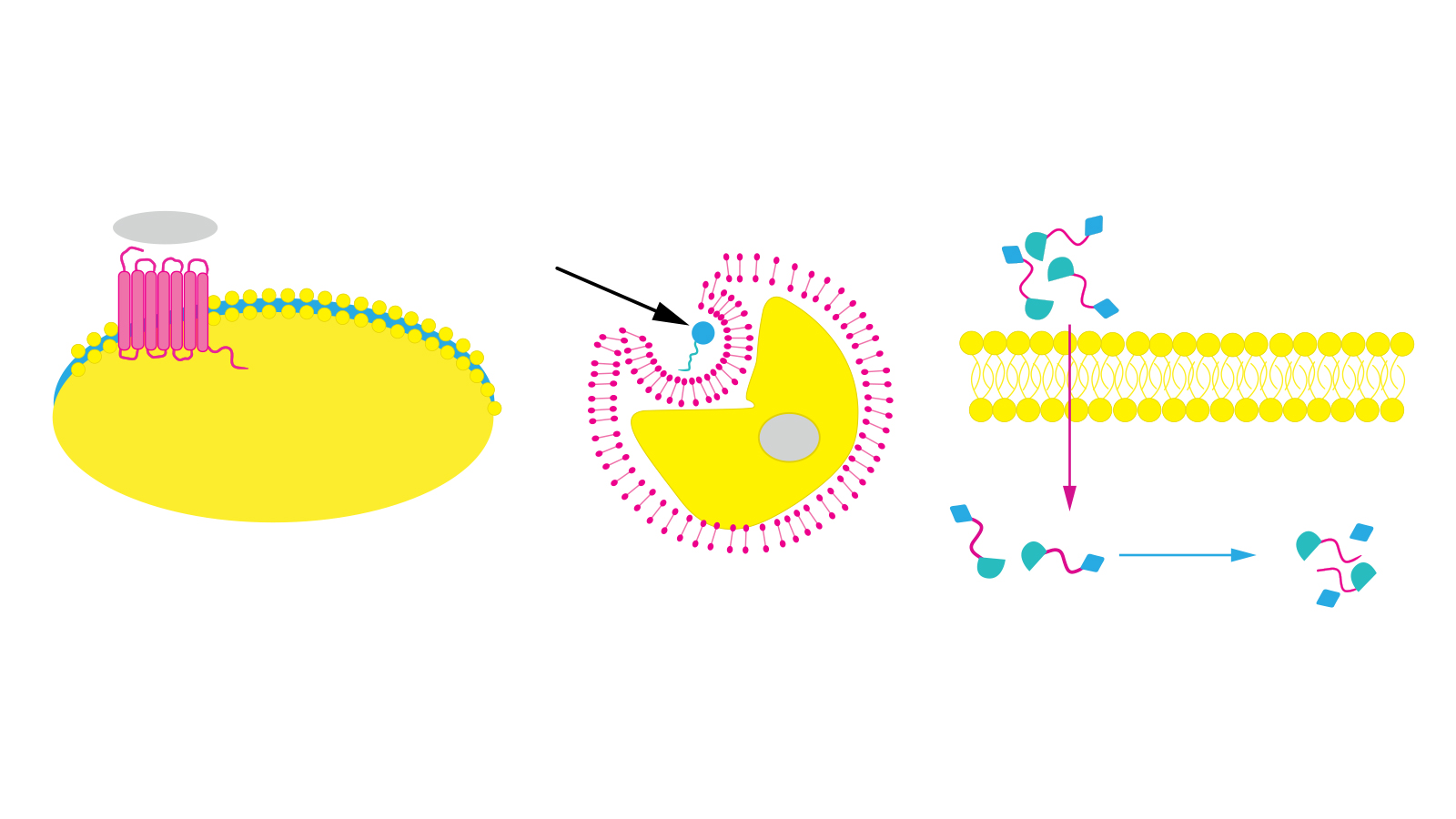 Advancements and Technologies Driving Peptide Drug Design and Development