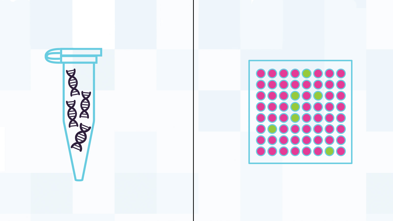 The Ins and Outs of Digital PCR
