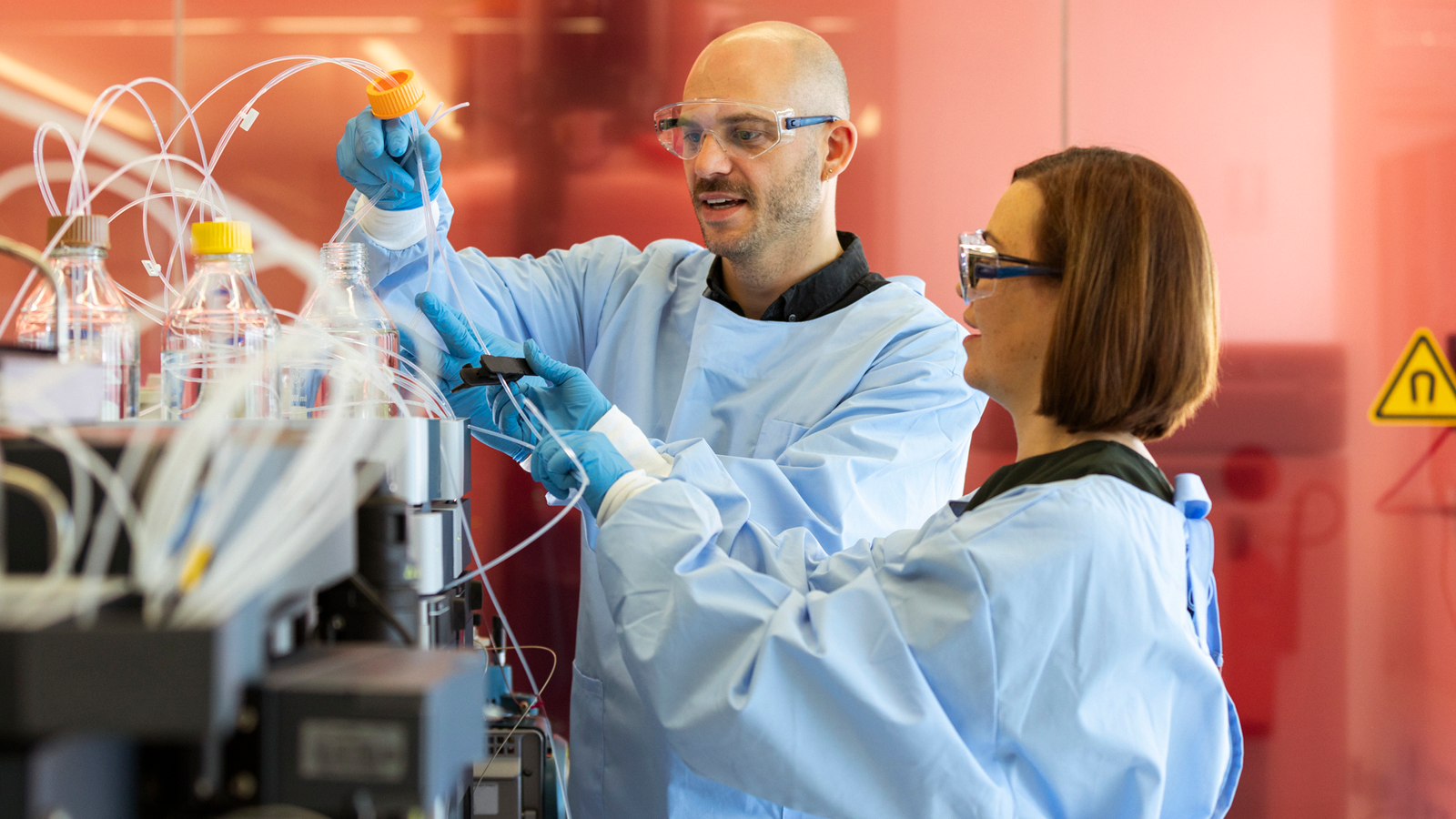 Newly Developed Global Plasma Proteome Quantification Workflow