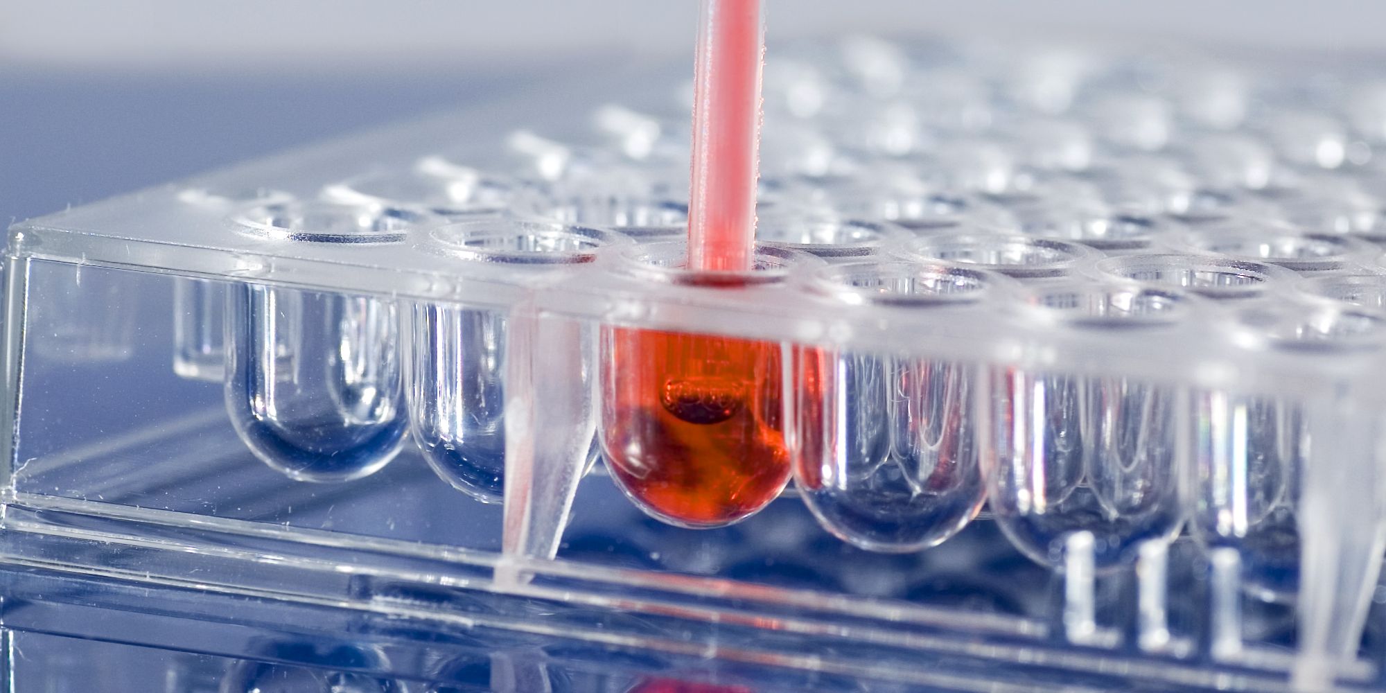 Collect and Transfer Micro Samples With Accuracy, Precision, and Ease