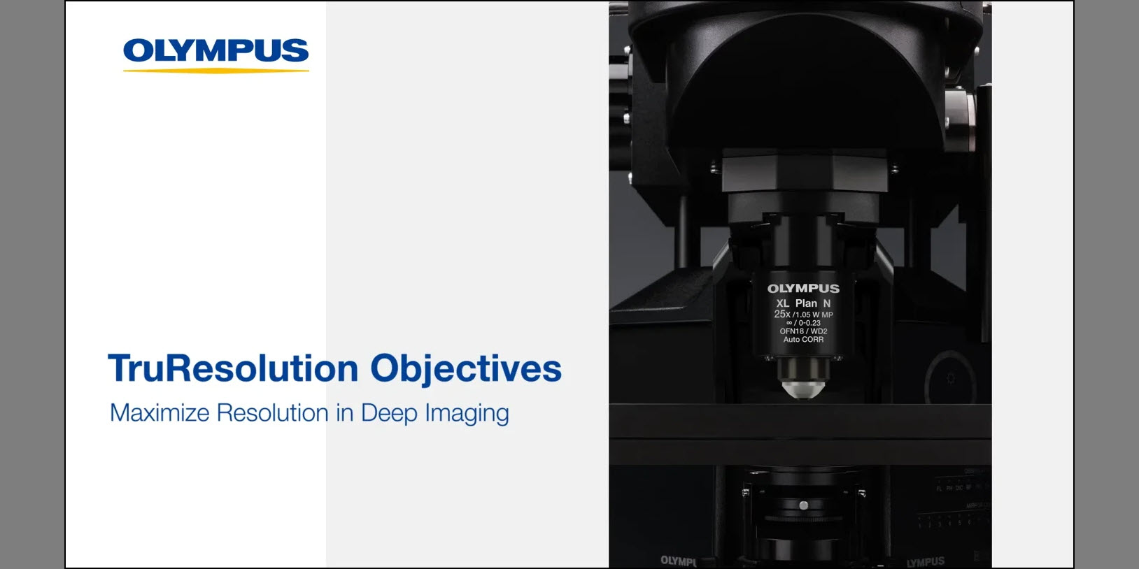 Laser Scanning Microscopy Solutions | Lab Manager
