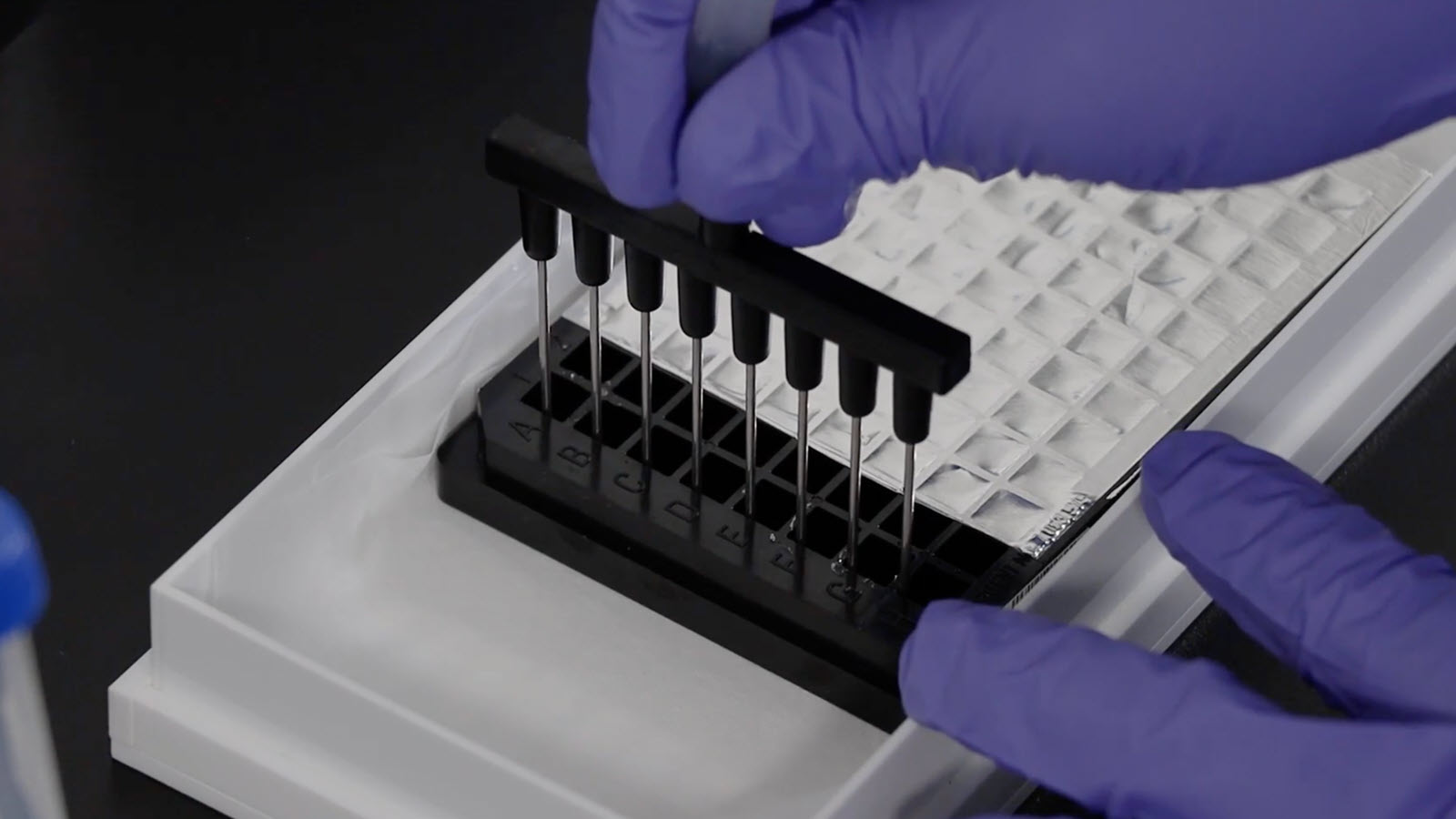 Multiplex Array Technology for Rapid COVID-19 Clade Variant Testing